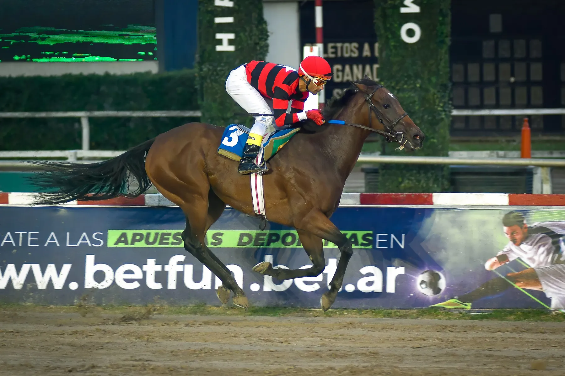 CANDY AND GIANT SIGUE INTRATABLE